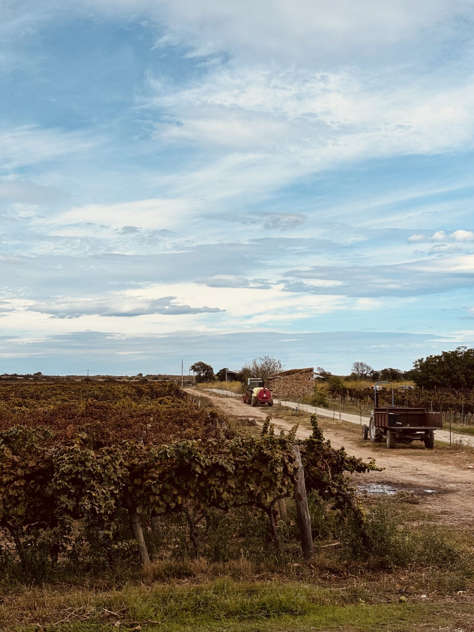 Le meilleur choix du slow : l'agriculture doit être paysanne - L ...